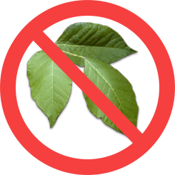 Home - Poison Ivy Gone